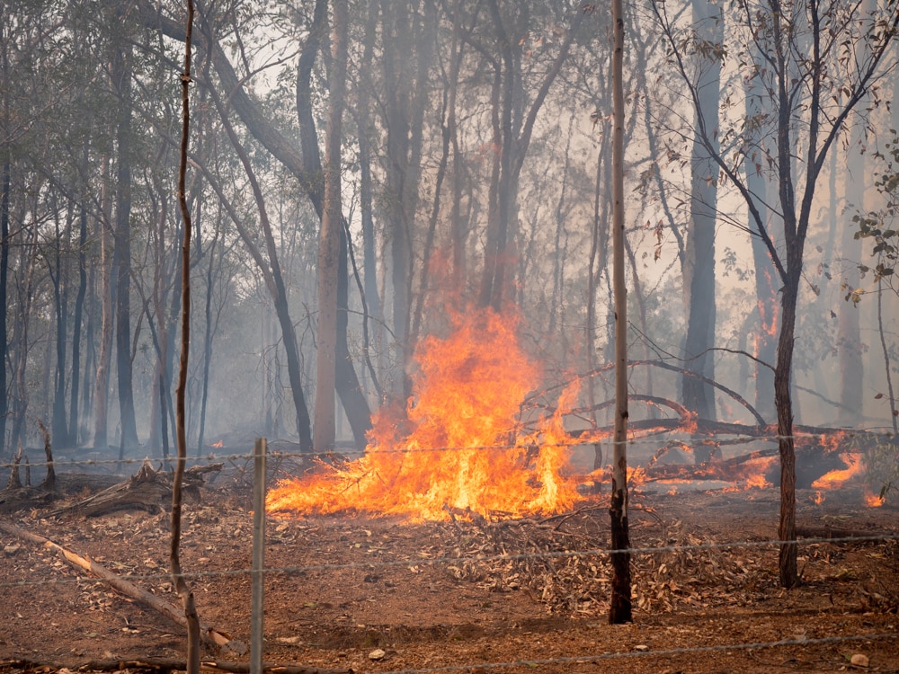 Bushfire royal commission hears former fire chief's October 2019 ...