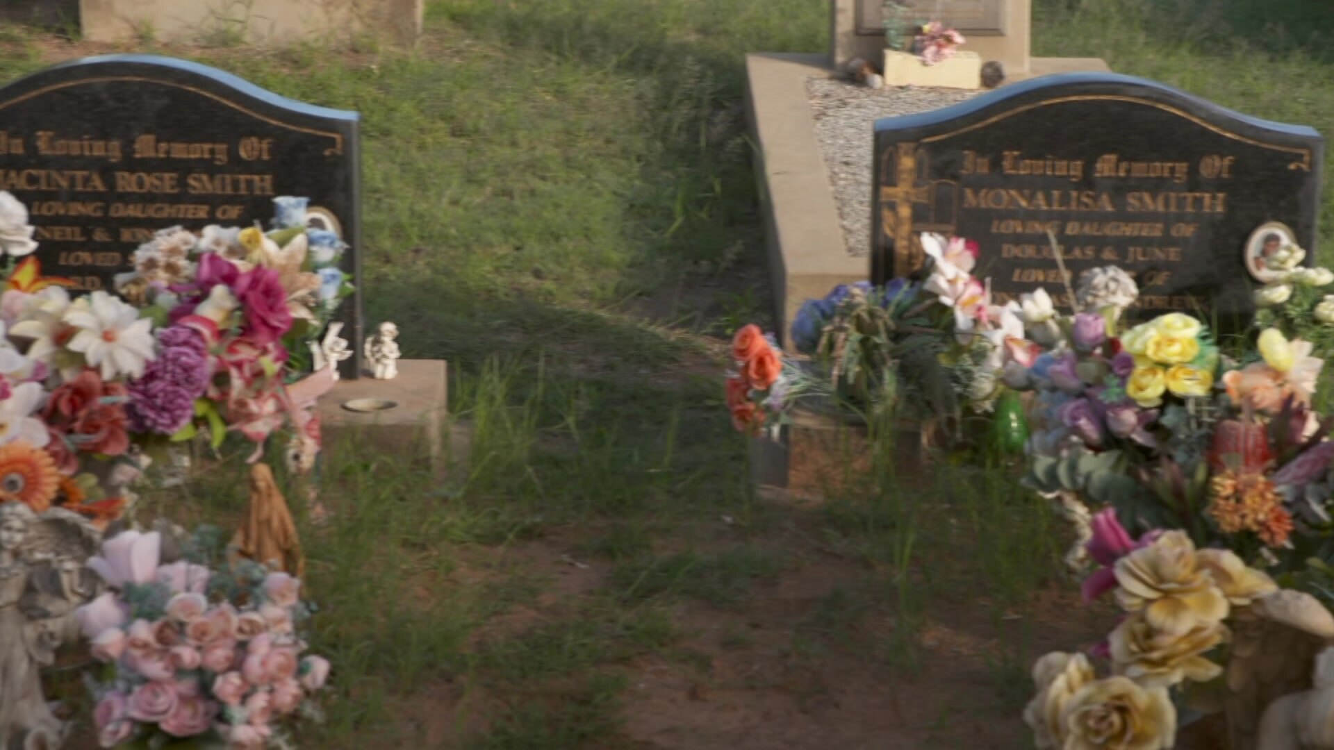 More than 35 years on from the deaths of Mona Lisa and Cindy, their ...