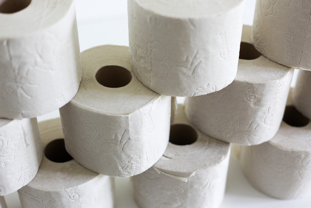 Toilet paper quiz: How much do you know about what you flush? - ABC News