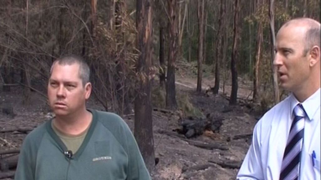 Inside the mind of an arsonist - ABC News