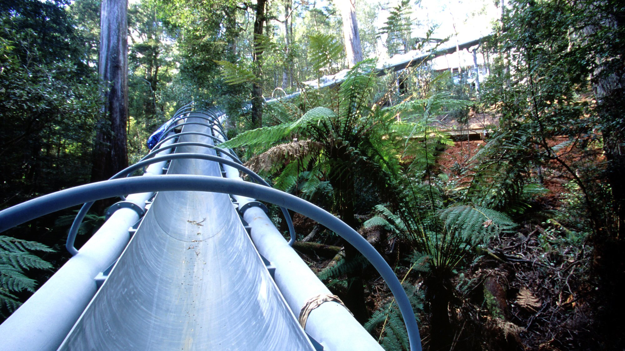 Dismal Swamp artworks removed and damaged as Tasmanian region waits for ...