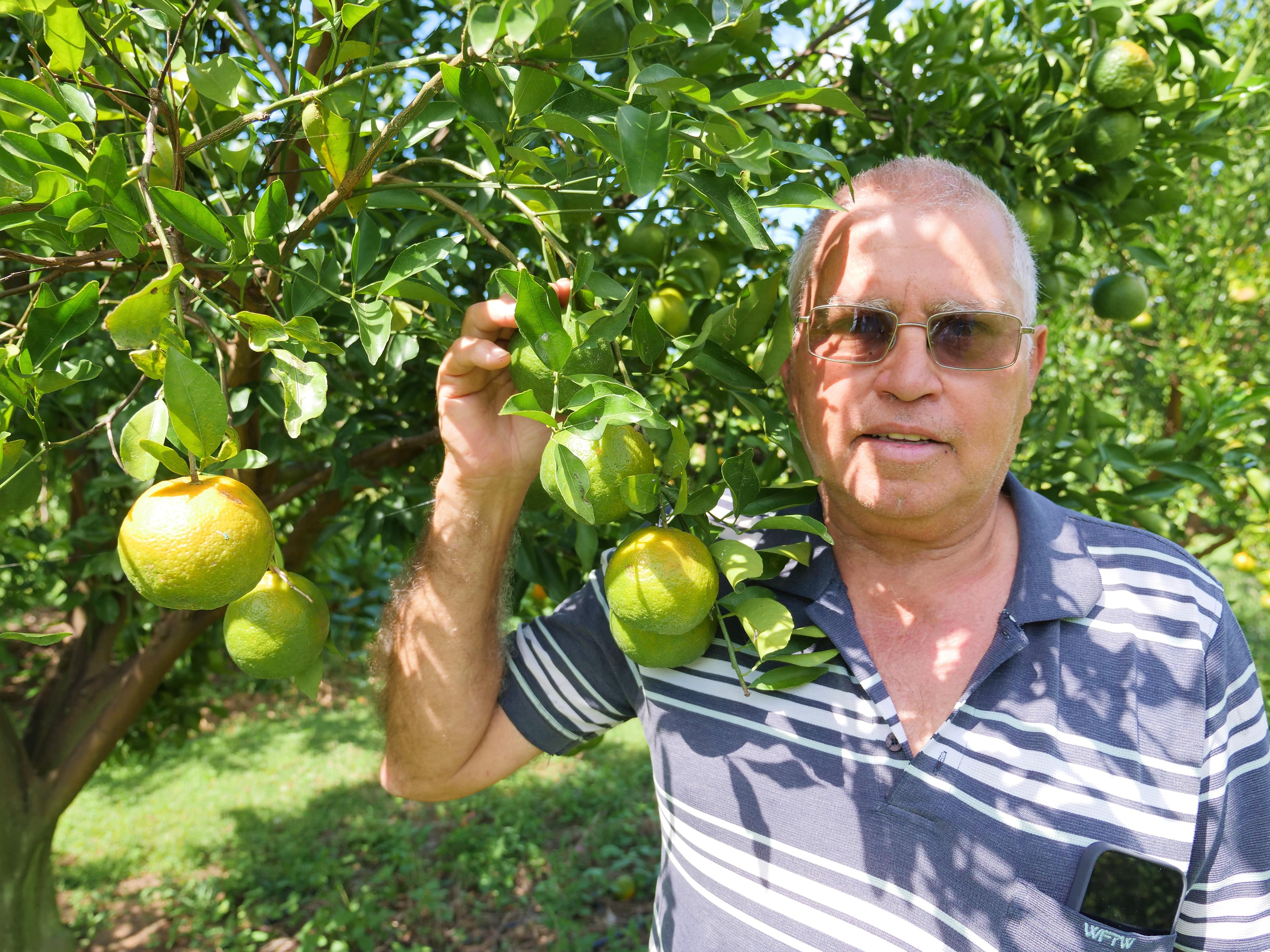 Angel Parsons - ABC News