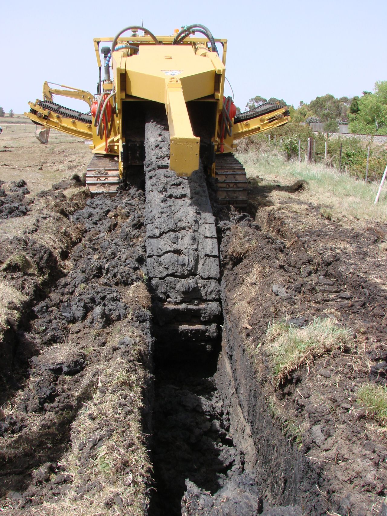 Tasmania's biggest chainsaw - ABC News
