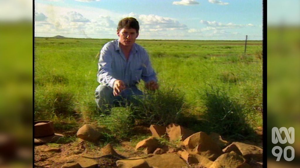 The Swagman's Grave (1994) - ABC News