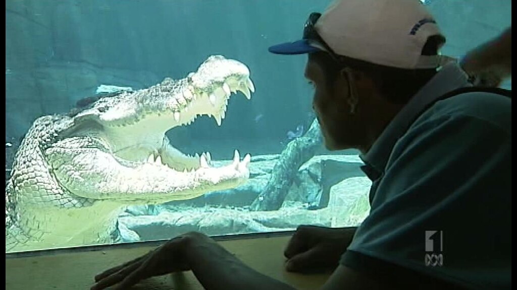 Croc skills taught to East Timor group - ABC News