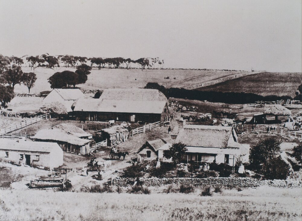 McLaren Vale's 175 years of vineyards, history and farm-life in ...