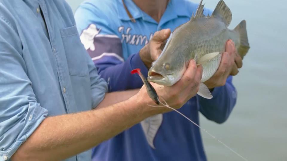 Catalyst: Sustainable fish farming - ABC Education