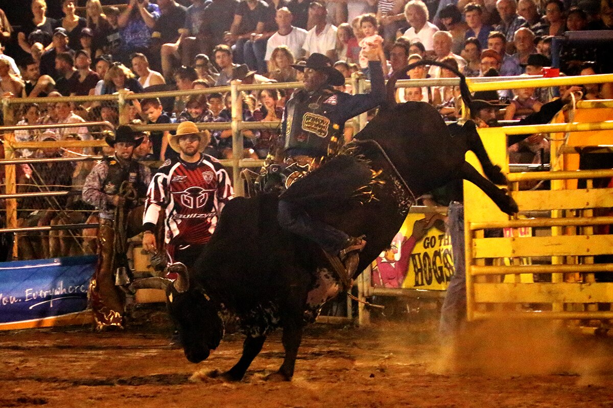 Only one winner in battle to ride Gotcha Rockin at Darwin rodeo - ABC News