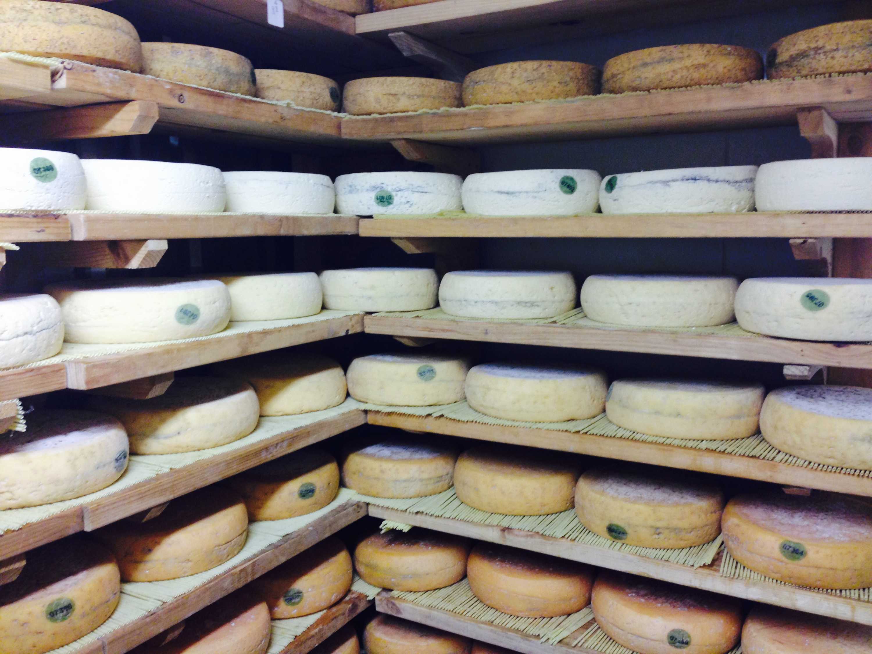 From finance to fromage: Banking on a new career in cheese making - ABC ...