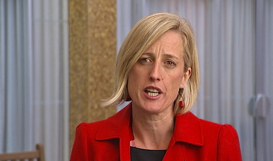 Gallagher to face more data scandal questions - ABC News