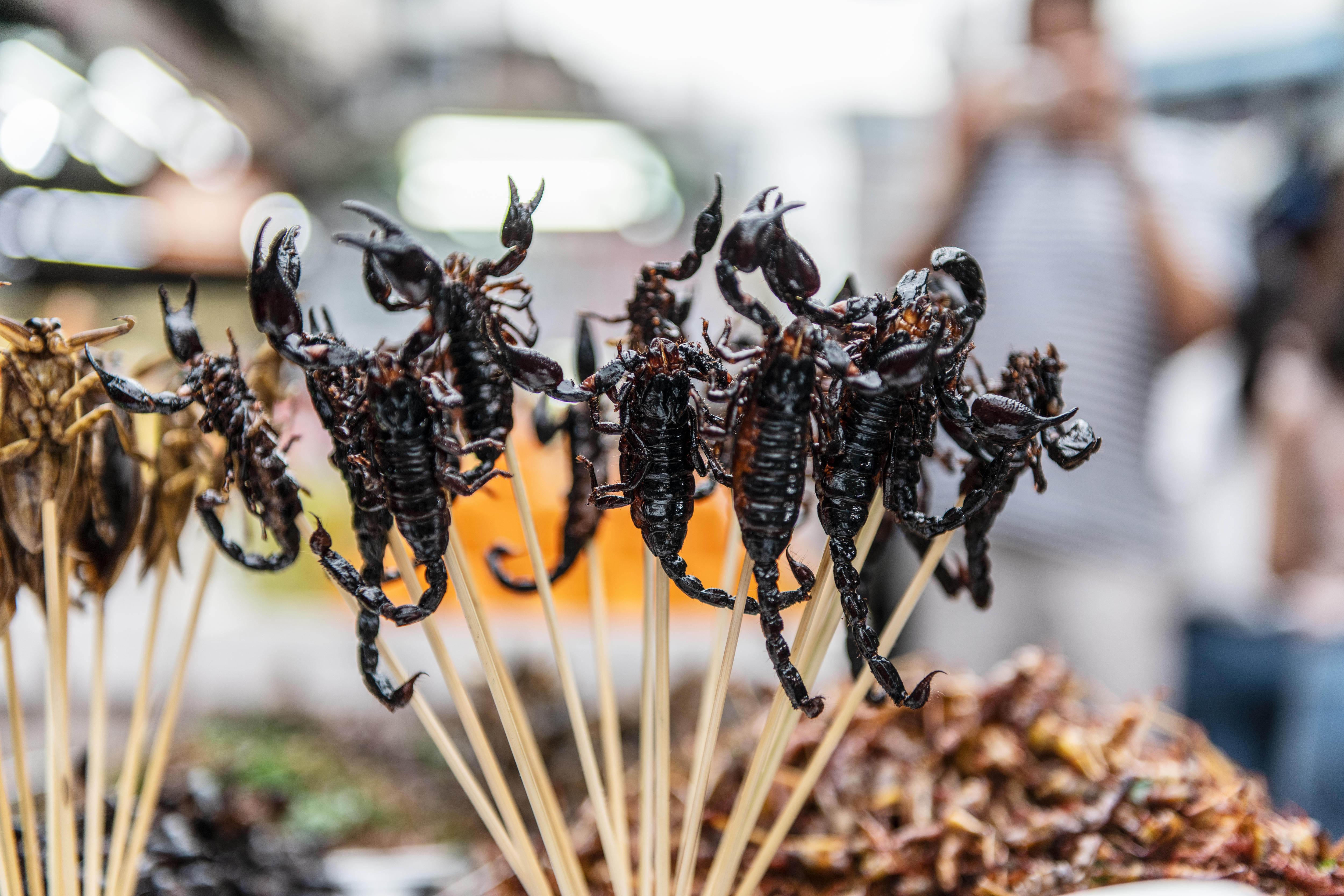 My delicious is your disgusting: how class and culture shape our tastes ...