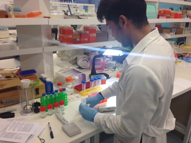 Fish farmers may soon have on-the-spot test for shellfish toxins - ABC News