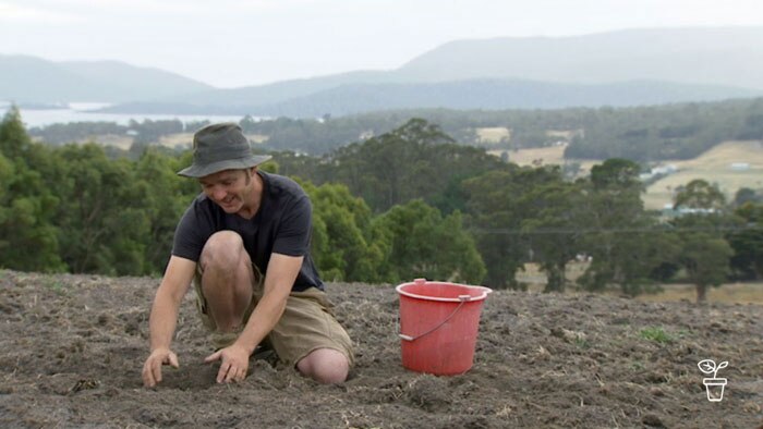 My Garden Path | Mark Valencia - Gardening Australia