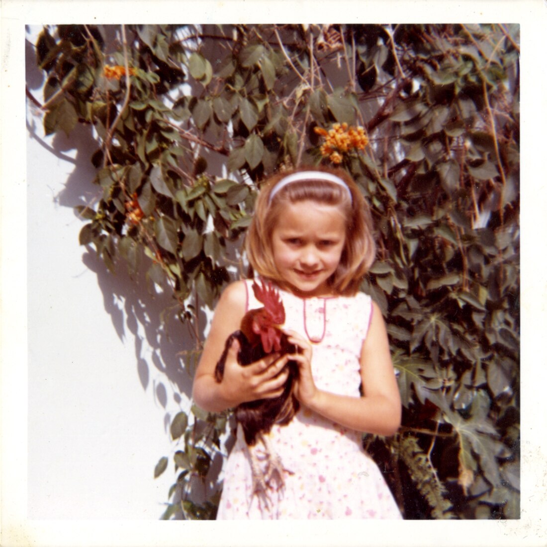 Collette Dinnigan: Sydney Powerhouse exhibition to put fashion designer ...