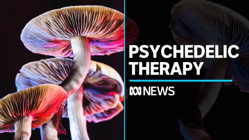 Questions remain over use of psychedelics - ABC News