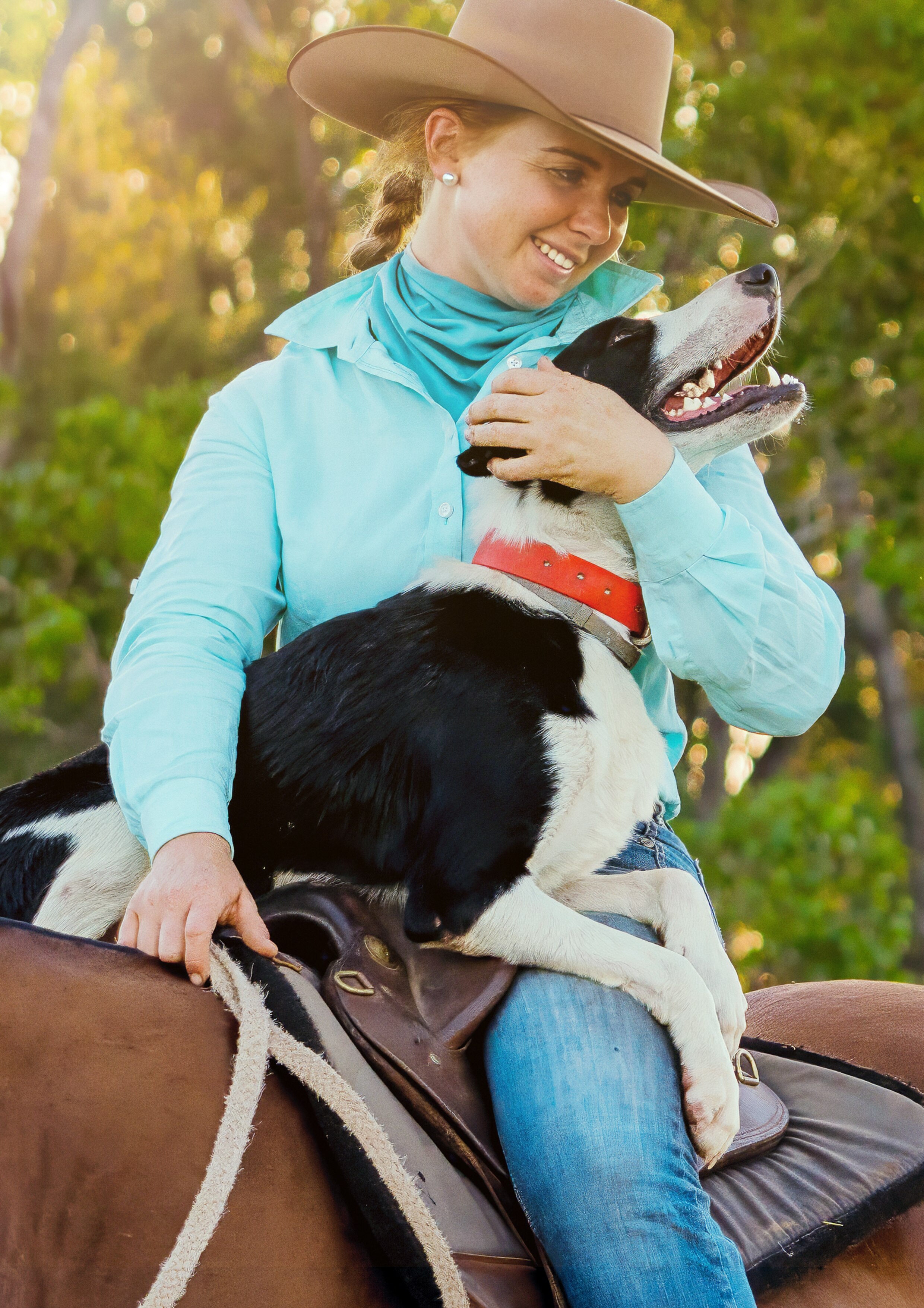 Muster Dogs returns for more with a four-part special and a brand-new ...