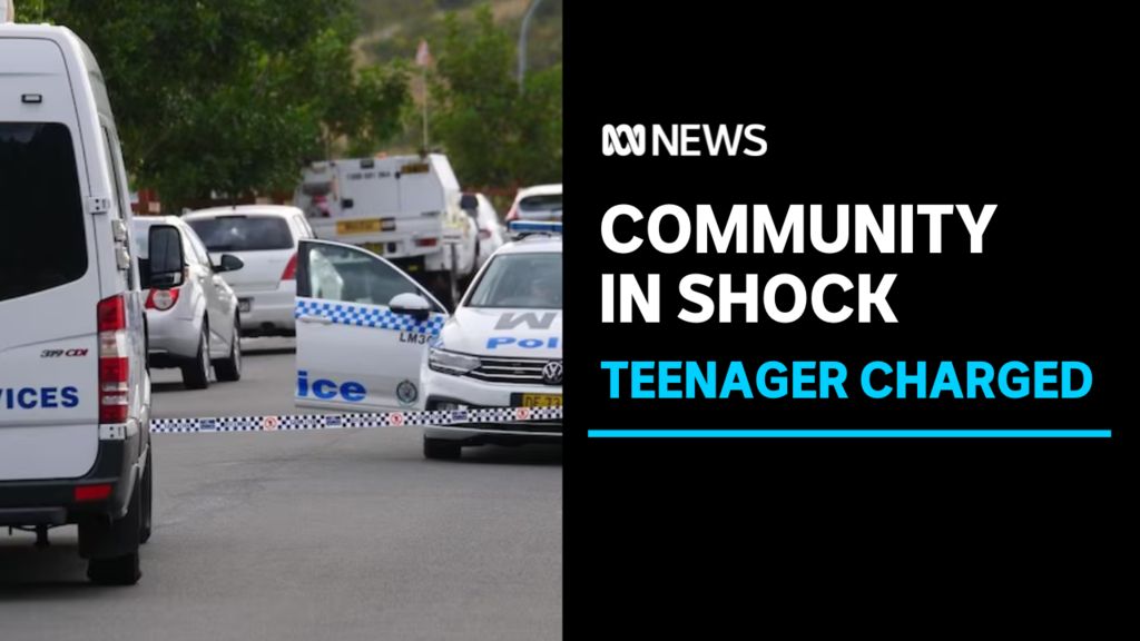 Teenage girl charged with stabbing murder of her 10yo sister - ABC News