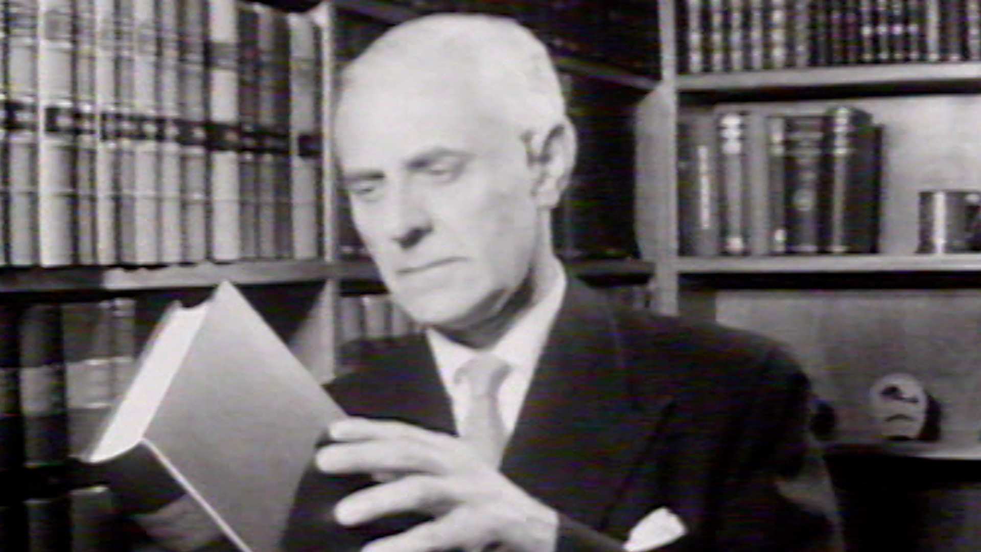 Winneke_bw_sPE4uycq_ - ABC News