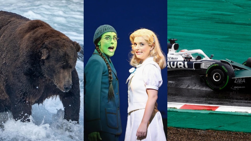 It's news quiz time: Test your knowledge of fat bears, musicals ...