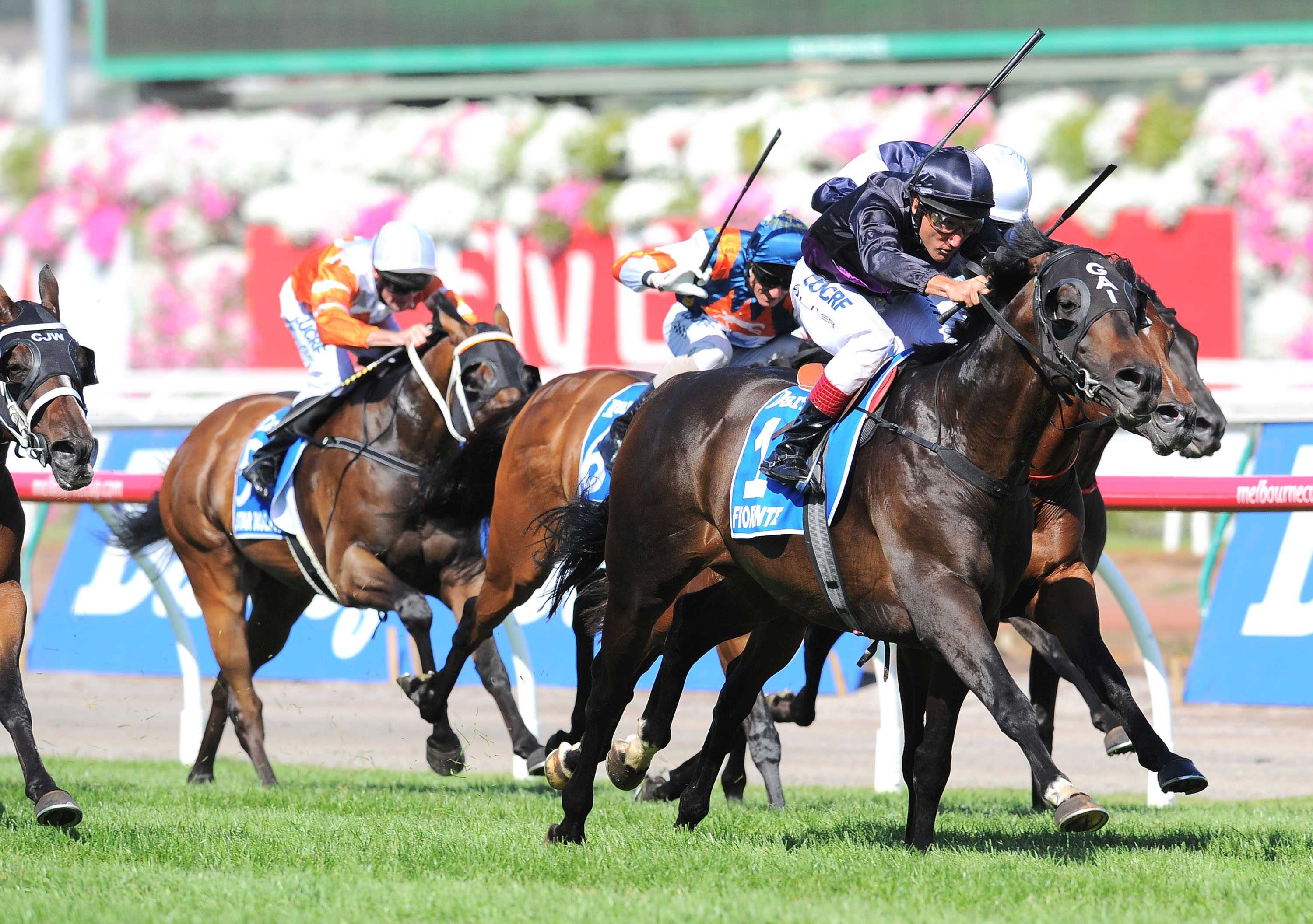 Fiorente wins the Australian Cup - ABC News