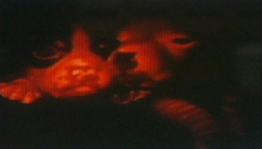 Fluorescent cloned dogs - ABC News