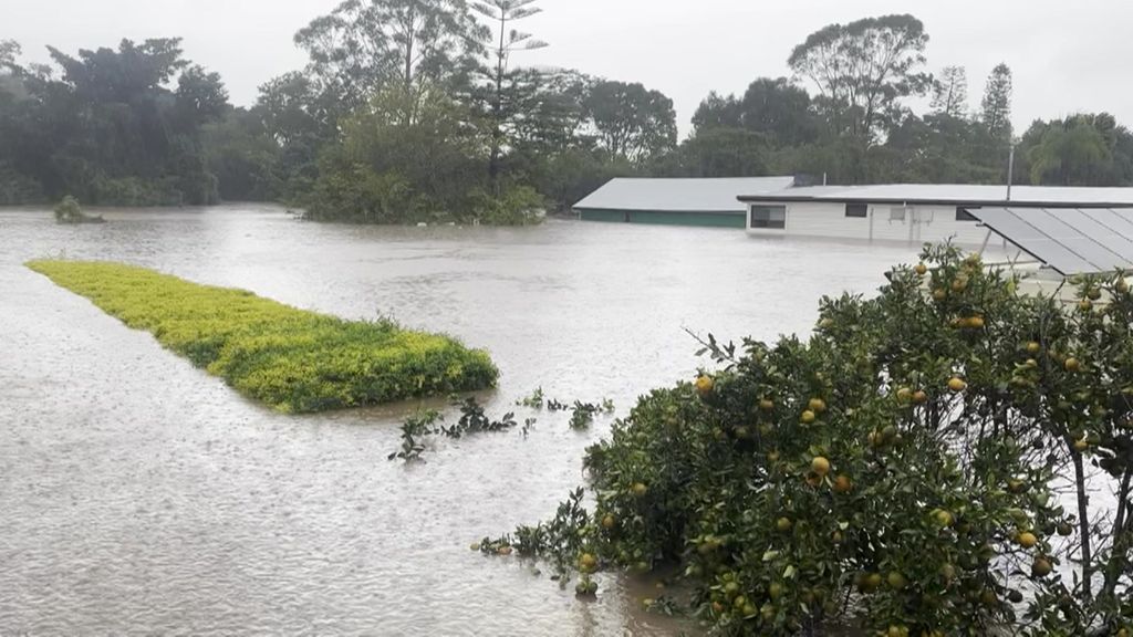 A flood affected property in Taree - ABC News
