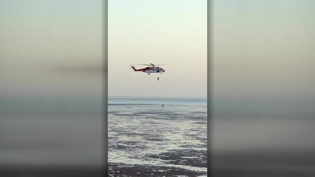 Roebuck - 6725 - Location - ABC News