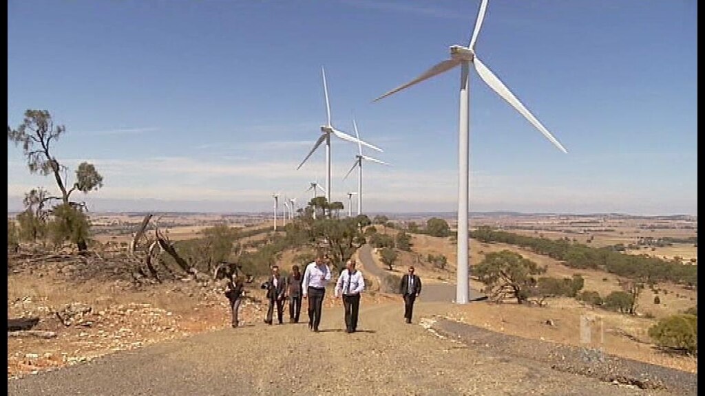 Senate report gives wind farm opponents hope - ABC News