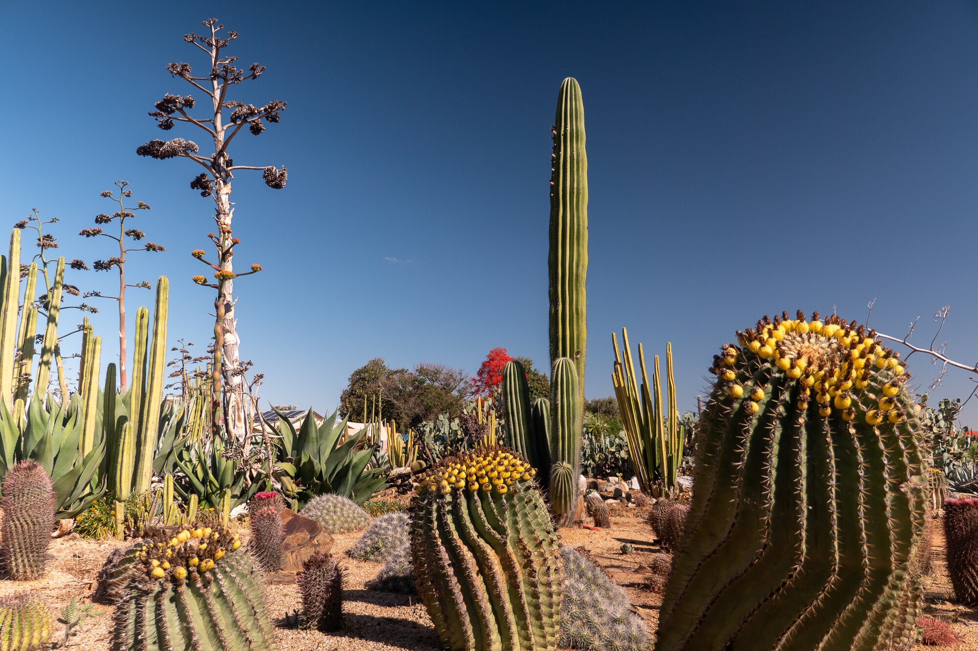 Nightlife with Philip Clark and Suzanne Hill - ABC listen