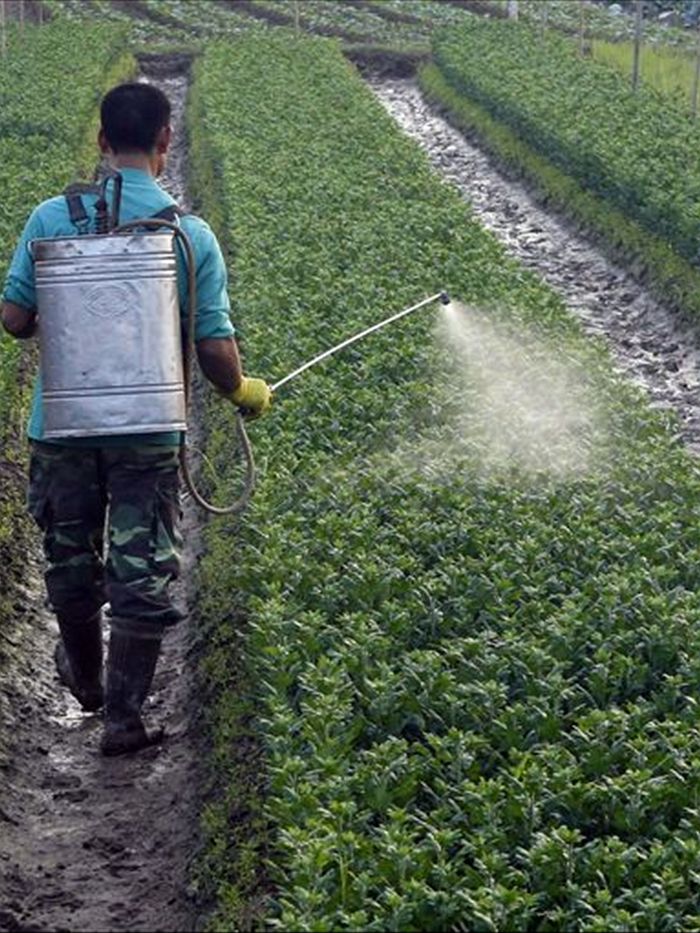 Protests against GMO crops and pesticides target Monsanto ...