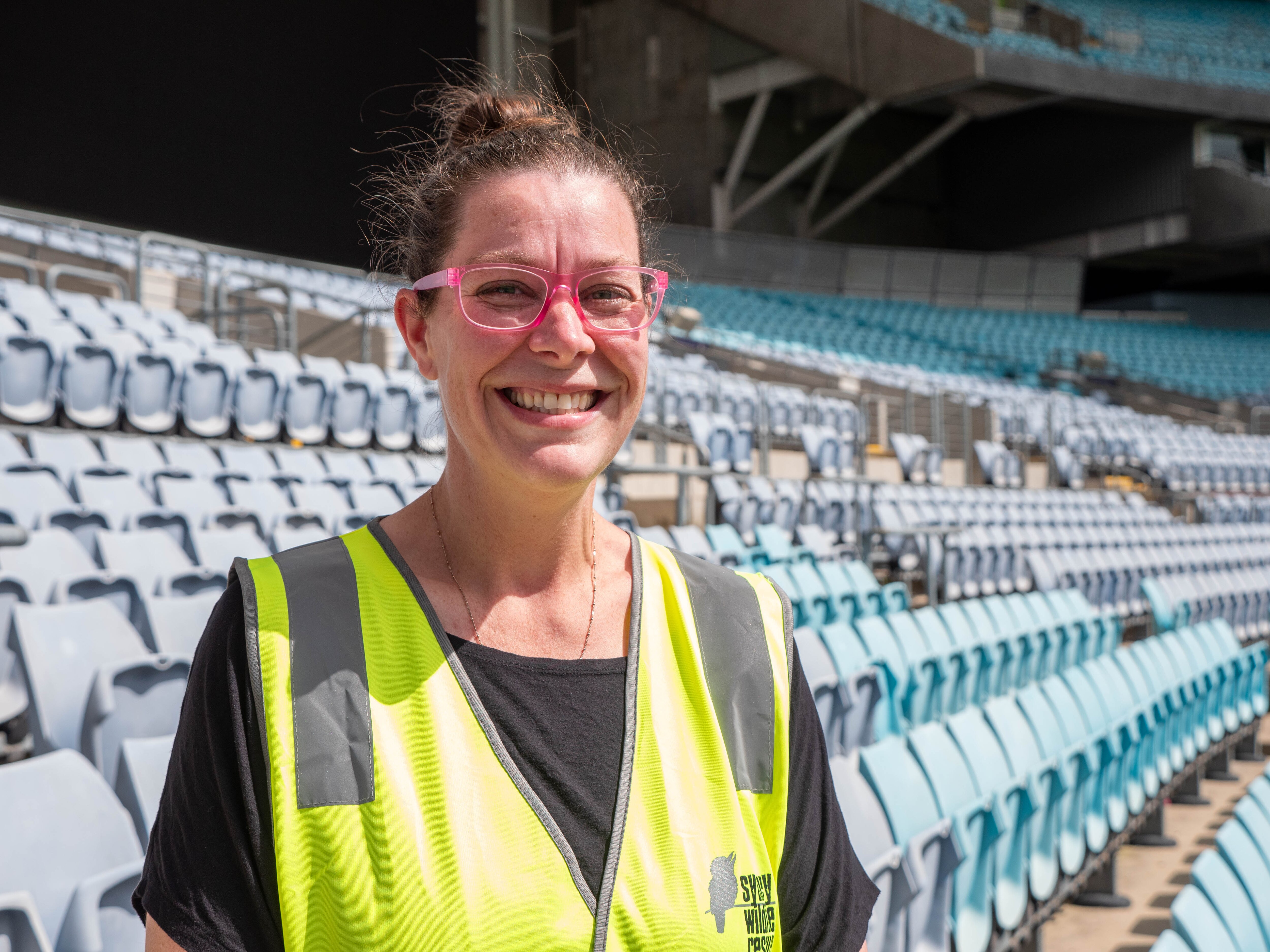 Swifty the peregrine falcon that crashed Taylor Swift concert set-up ...