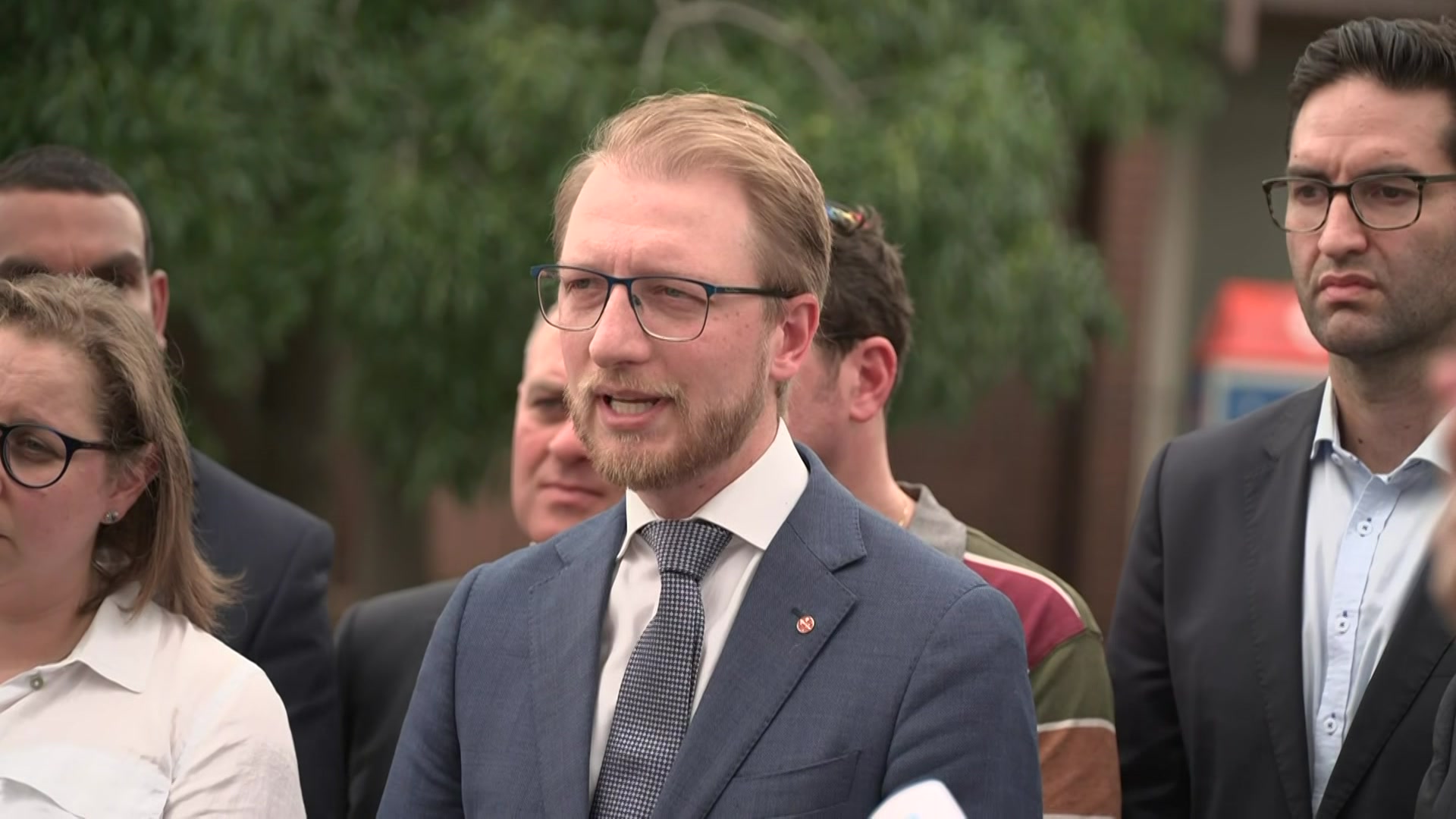 Dragonflies and damselflies: Why these vividly coloured, mosquito ...