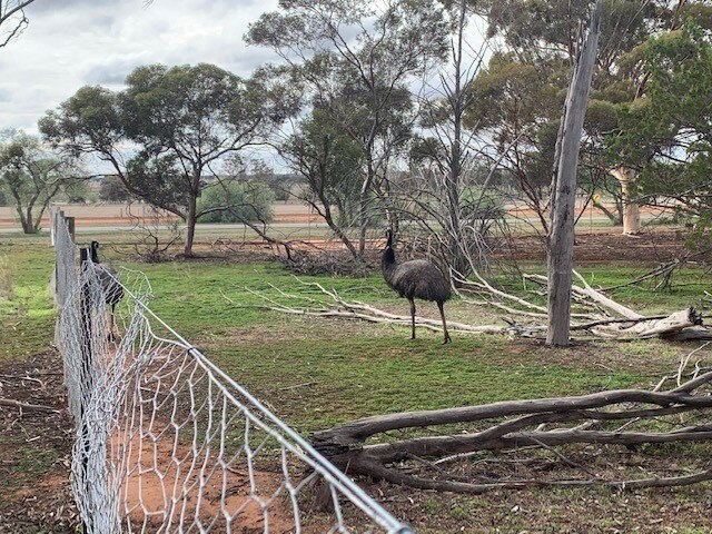 First Nations residents seek stronger protections for Wycheproof's ...