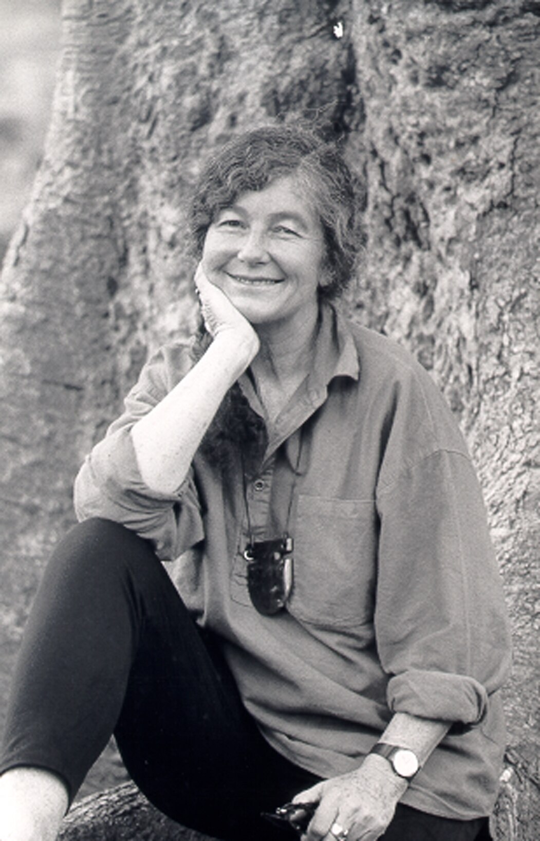 Children's author Pamela Allen honoured with an Order of Australia ...