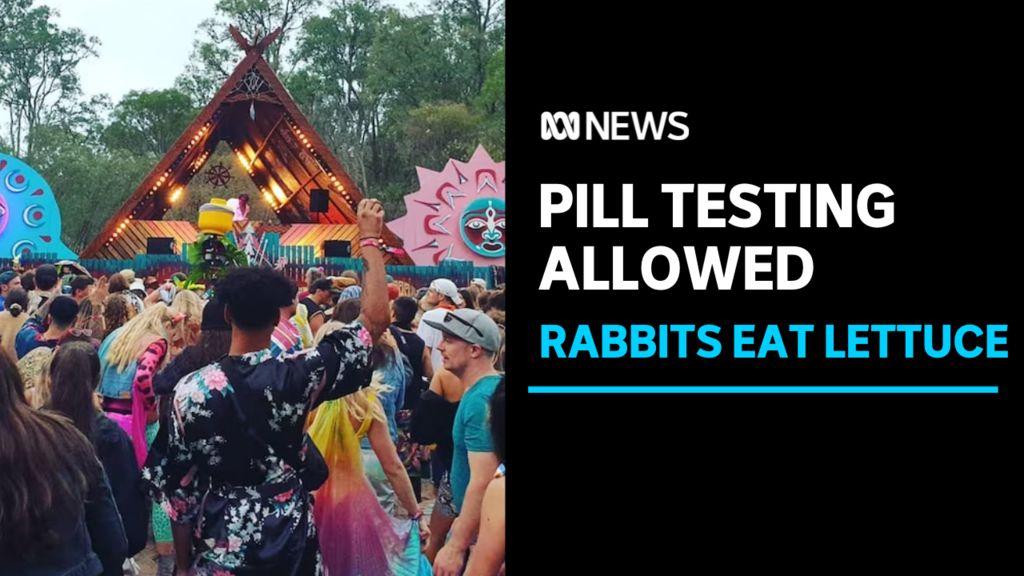 ABC News QLD: First time pill-testing is offered at multi-day music ...