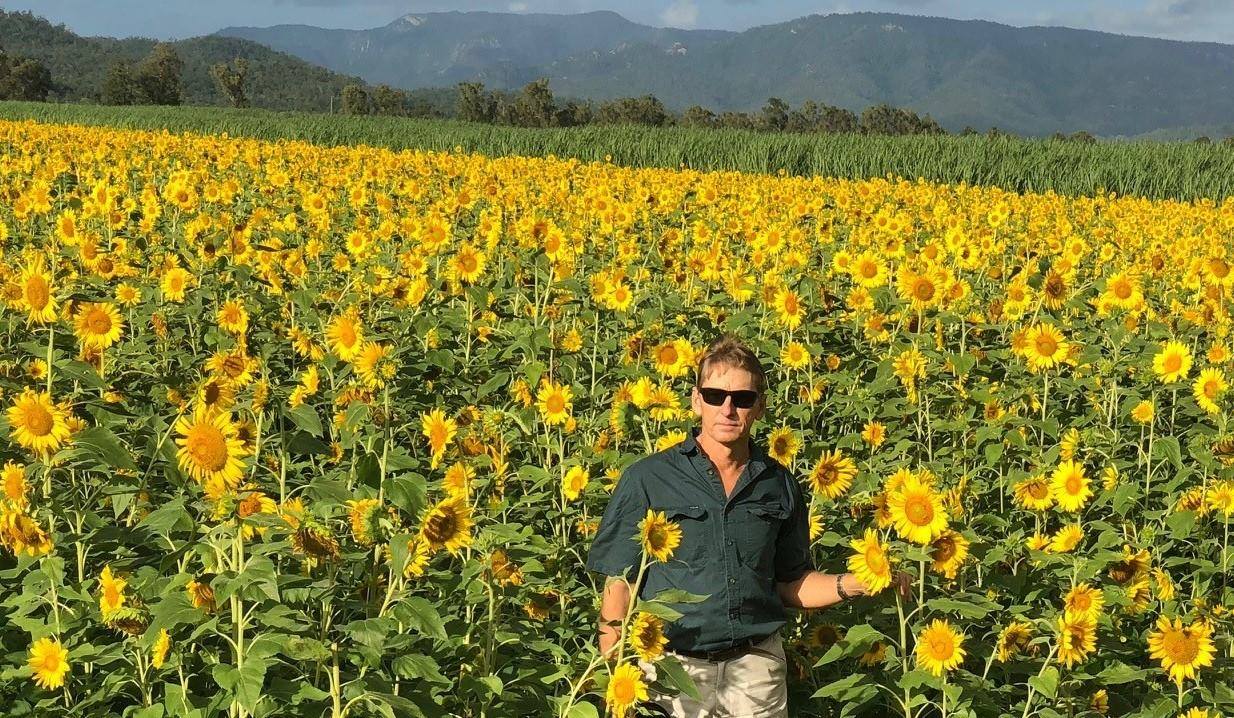 North Queensland crops ruined after deluge and widespread flooding ...