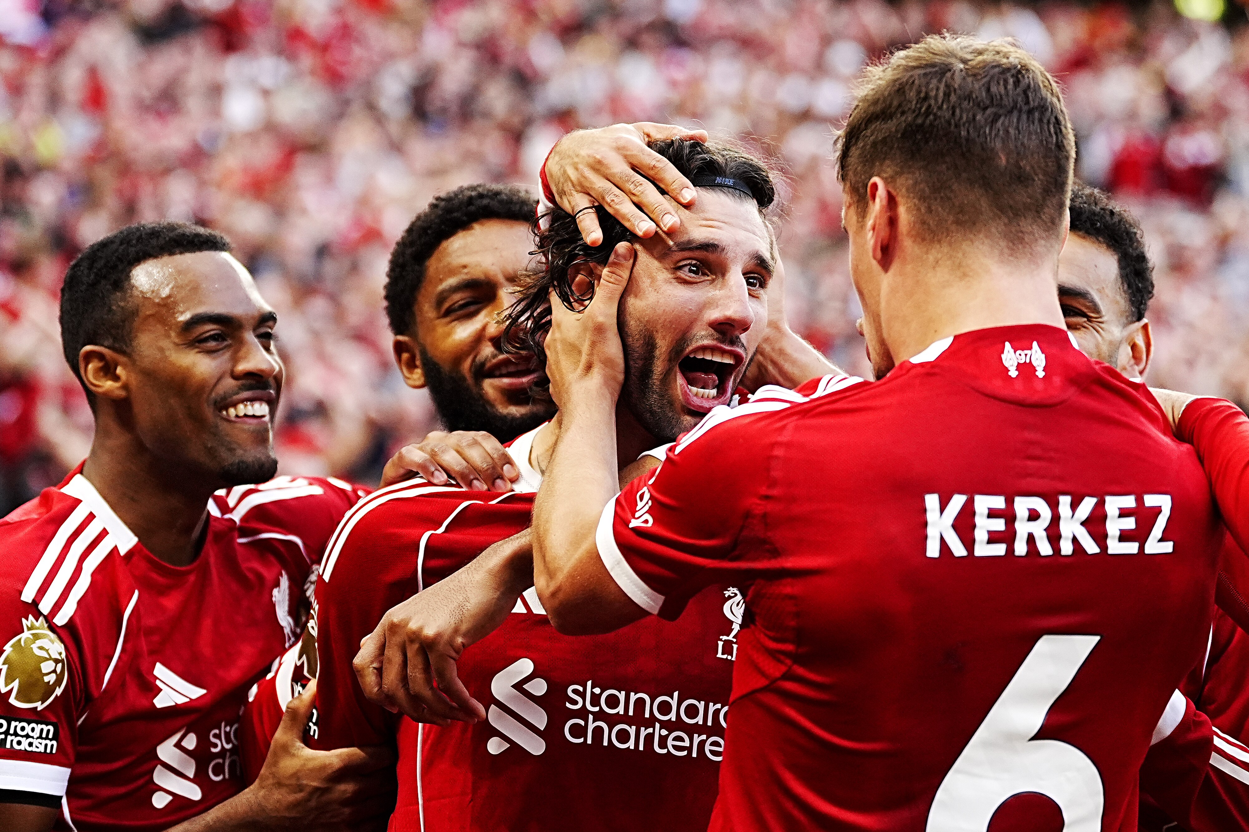 Wallabies beat South Africa 38-22 at Johannesburg, All Blacks down ...