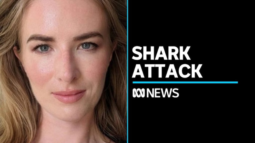 Sydney Harbour shark attack victim saved by vet - ABC News Sydney Harbour shark attack victim saved by vet - ABC News