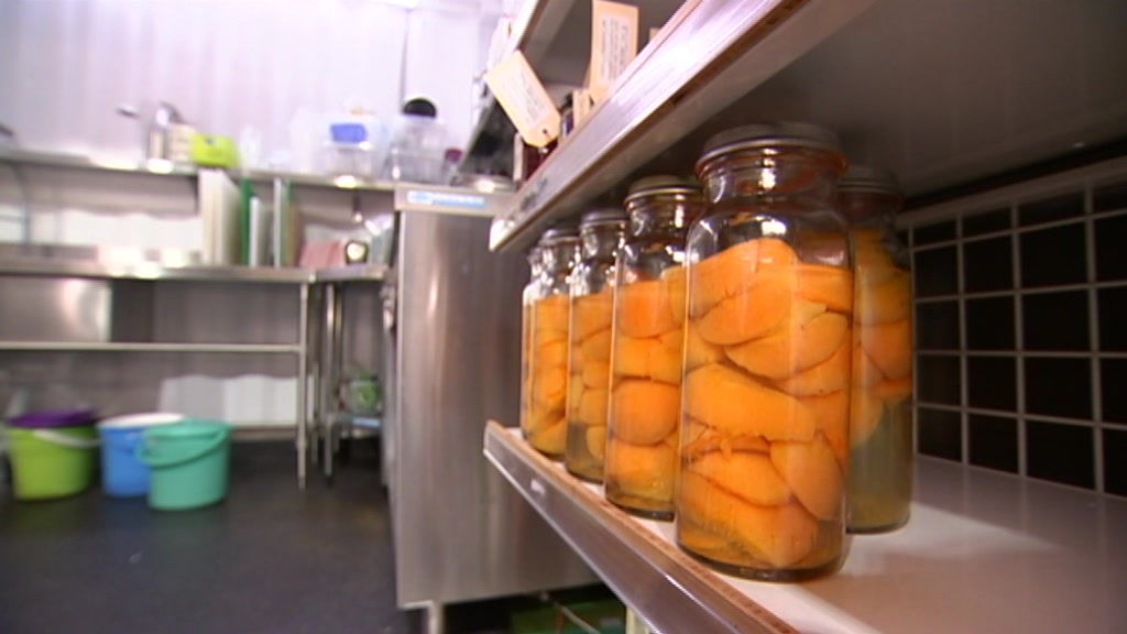 Alice Mahar's grassroots group preserves excess fruits from local trees ...