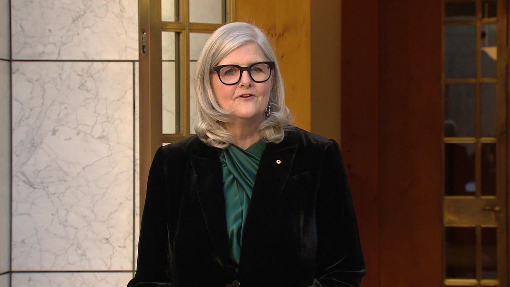 Sam Mostyn announced as the incoming Governor-General - ABC News