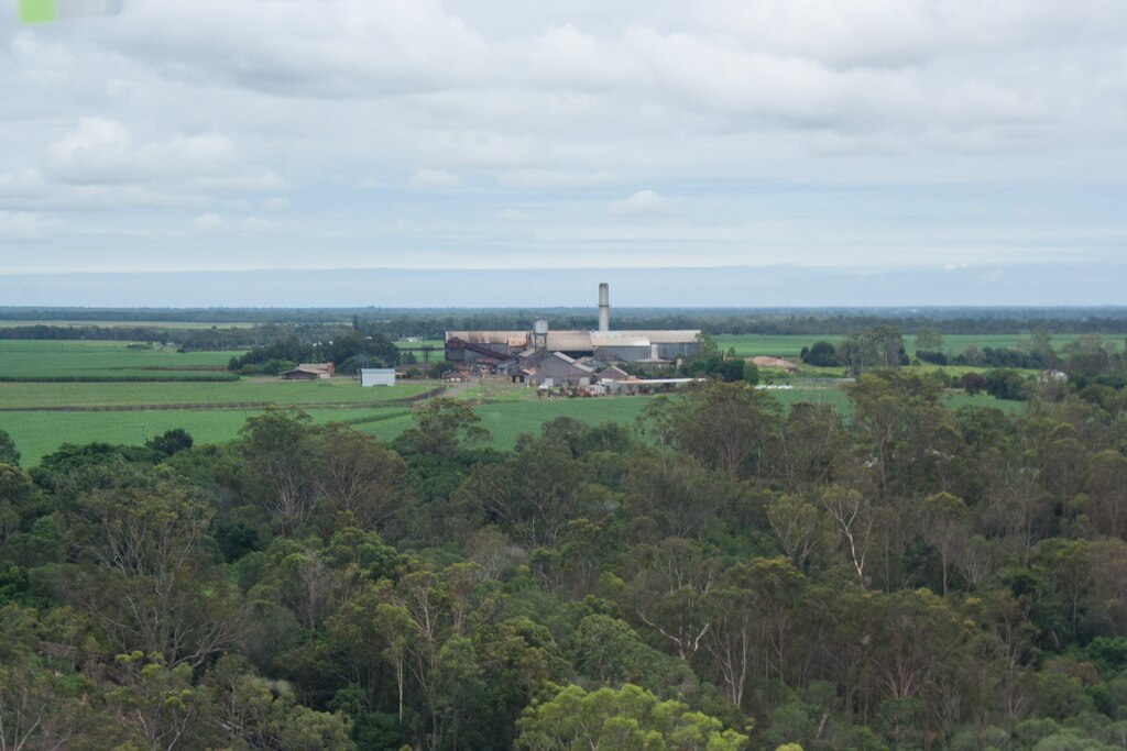 Bundaberg Sugar announces closure of 135-year-old Bingera sugar mill ...