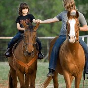 Autism, horses and other therapies - ABC Radio National