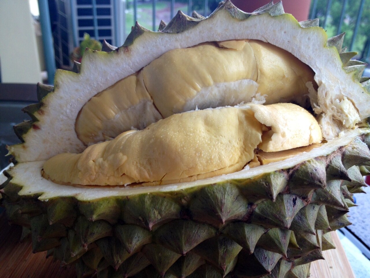 Indonesian passenger plane grounded after passengers complain about ...