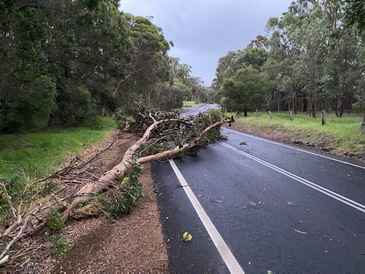 Perth weather warning remains in place as heavy rain, destructive winds ...
