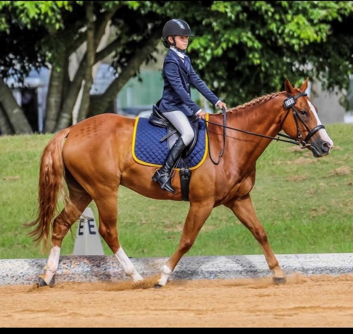 State school students permitted to wear uniforms at equestrian ...