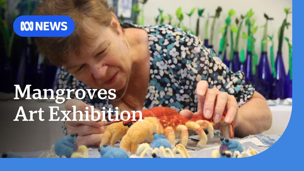 NT artists showcase love for mangroves with elaborate art installation - ABC News