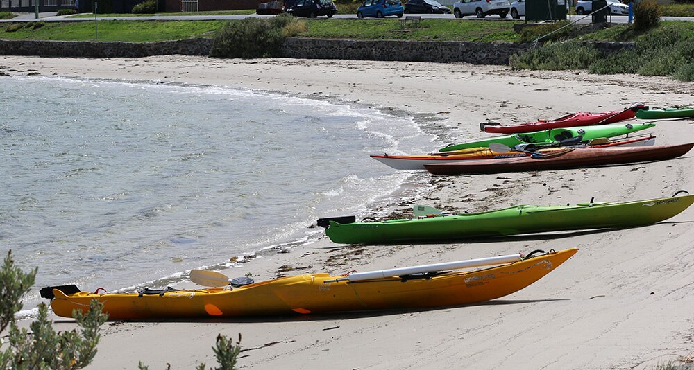 Tasmanian paddlers helping to drive kayaking boom - ABC News