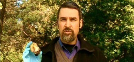 Lemon Scab Disease - Gardening Australia