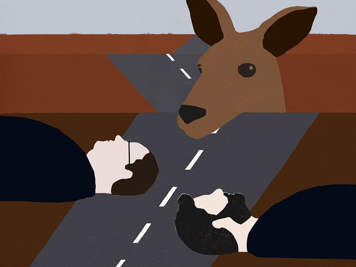 A kangaroo has three ears - ABC Radio National