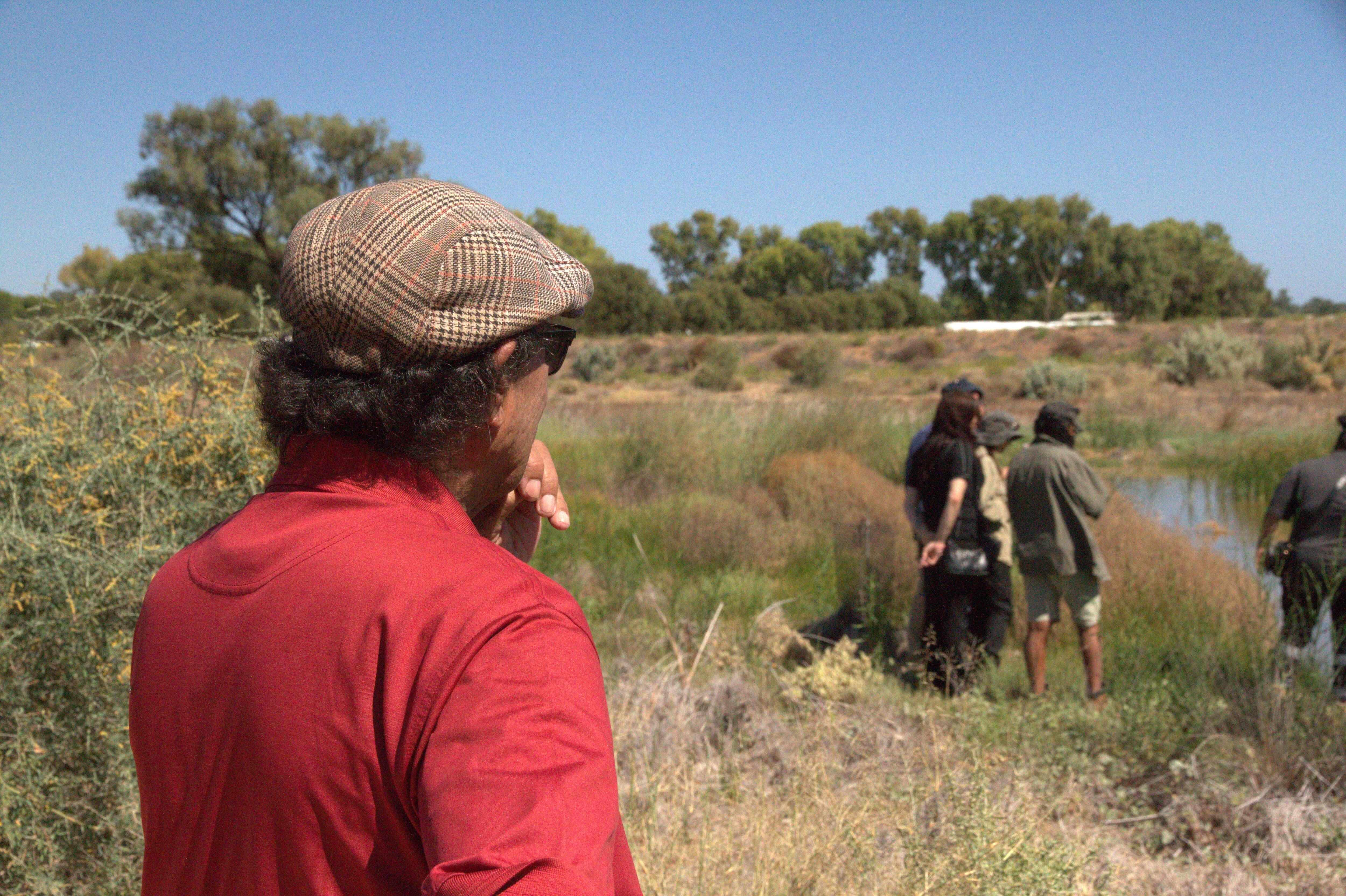 Return of tiny olive perchlet to the wild in Victoria offers hope for ...